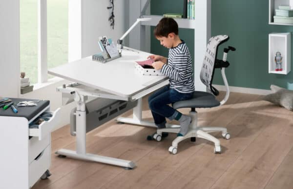 Ergonomics at the desk (2024) - Paidi Hong Kong